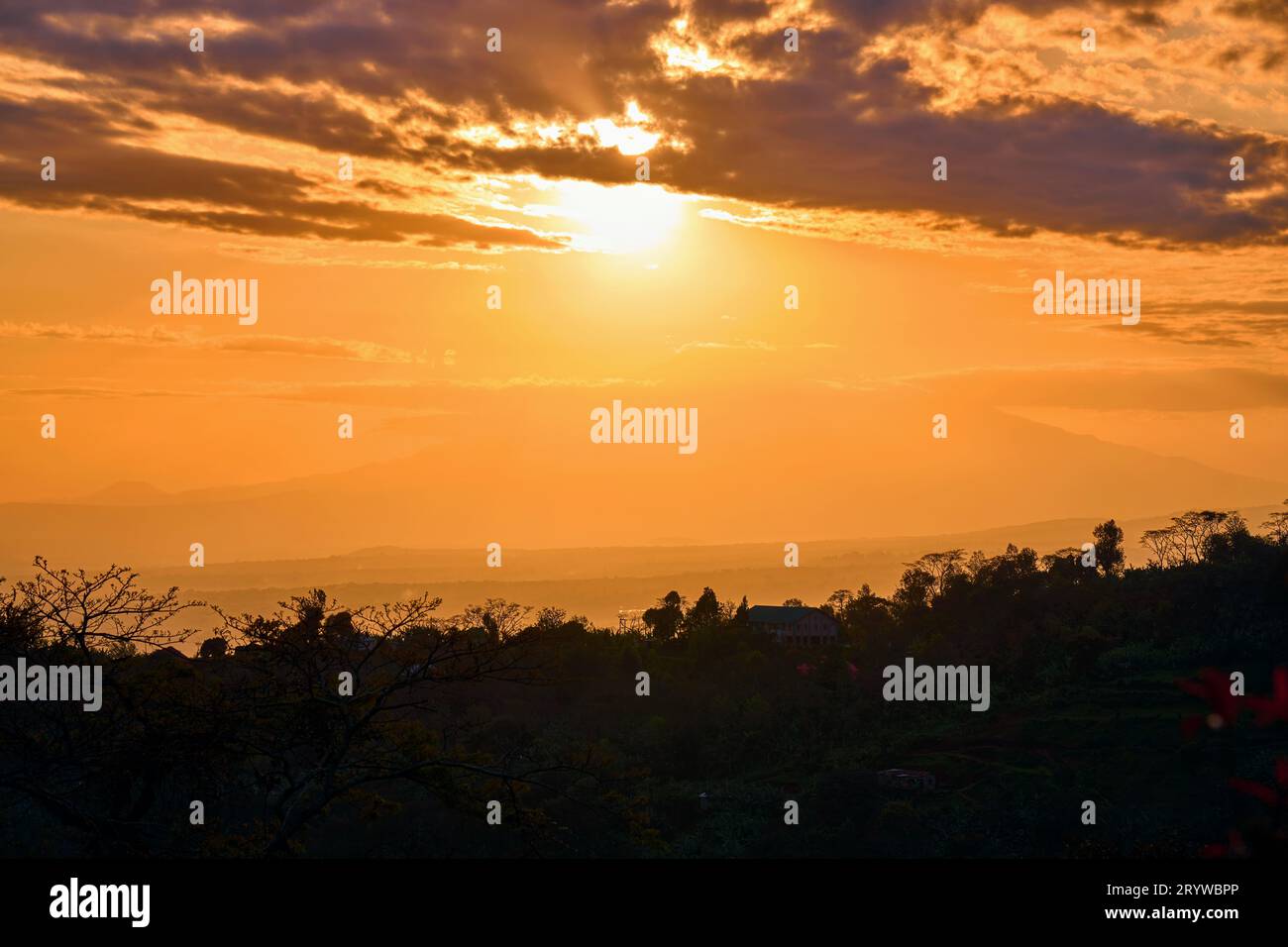 African safari limpopo hi-res stock photography and images - Alamy