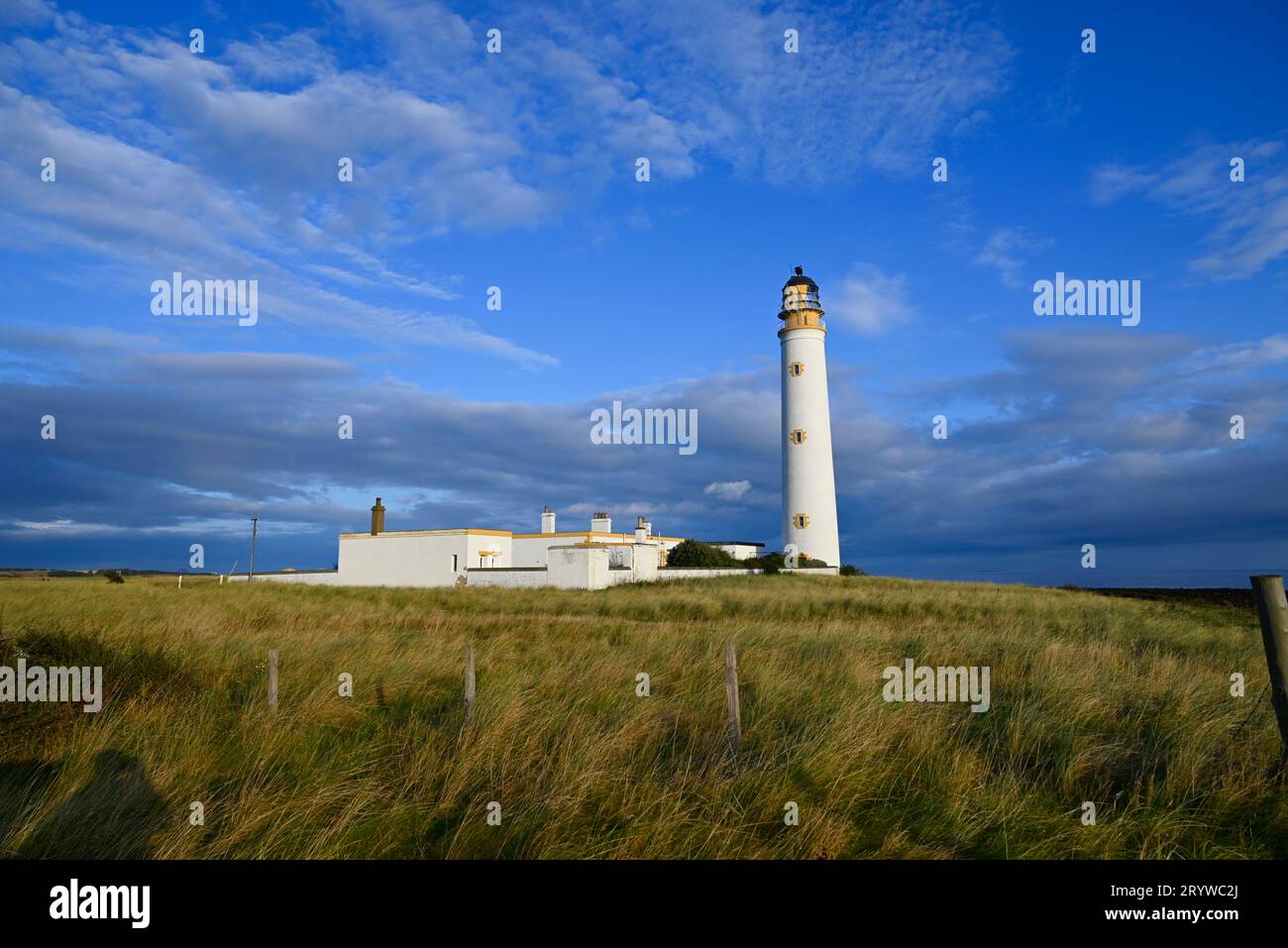Barns Ness Lighthouse east Lothian Stock Photo - Alamy