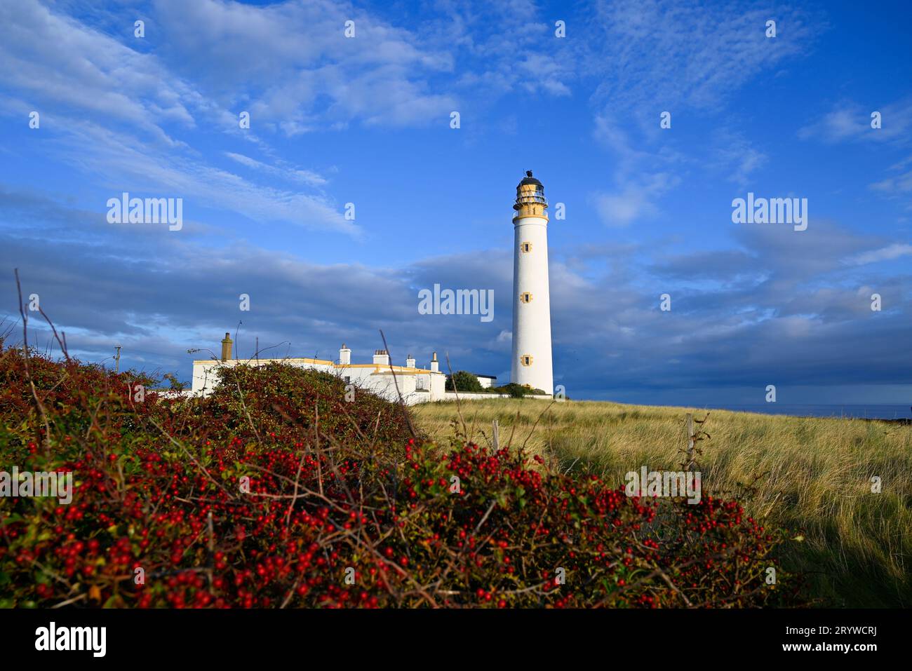 Barns Ness Lighthouse east Lothian Stock Photo - Alamy