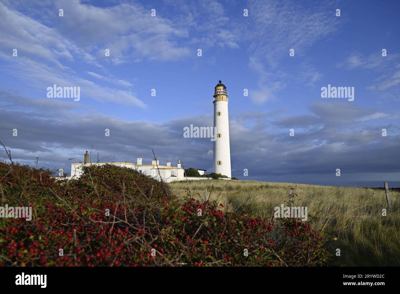 Barns Ness Lighthouse east Lothian Stock Photo - Alamy