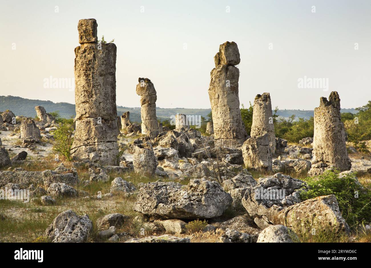 Pobiti Kamani - Stone forest near Varna. Bulgaria Stock Photo - Alamy
