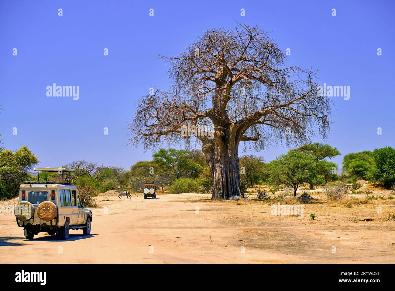safari jeep in the african savanna Stock Photo - Alamy
