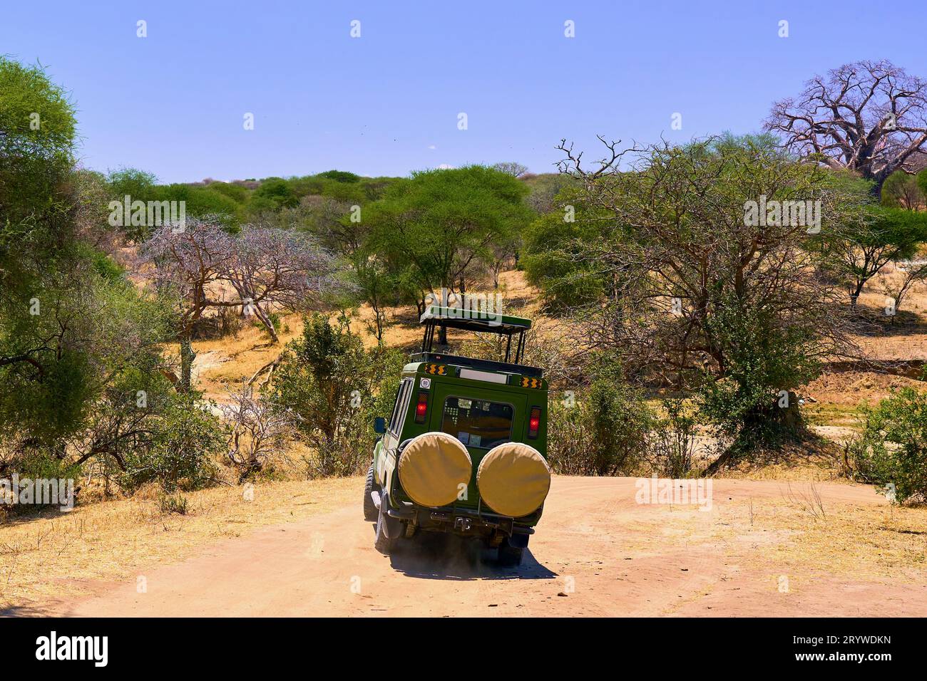 safari jeep in the african savanna Stock Photo - Alamy