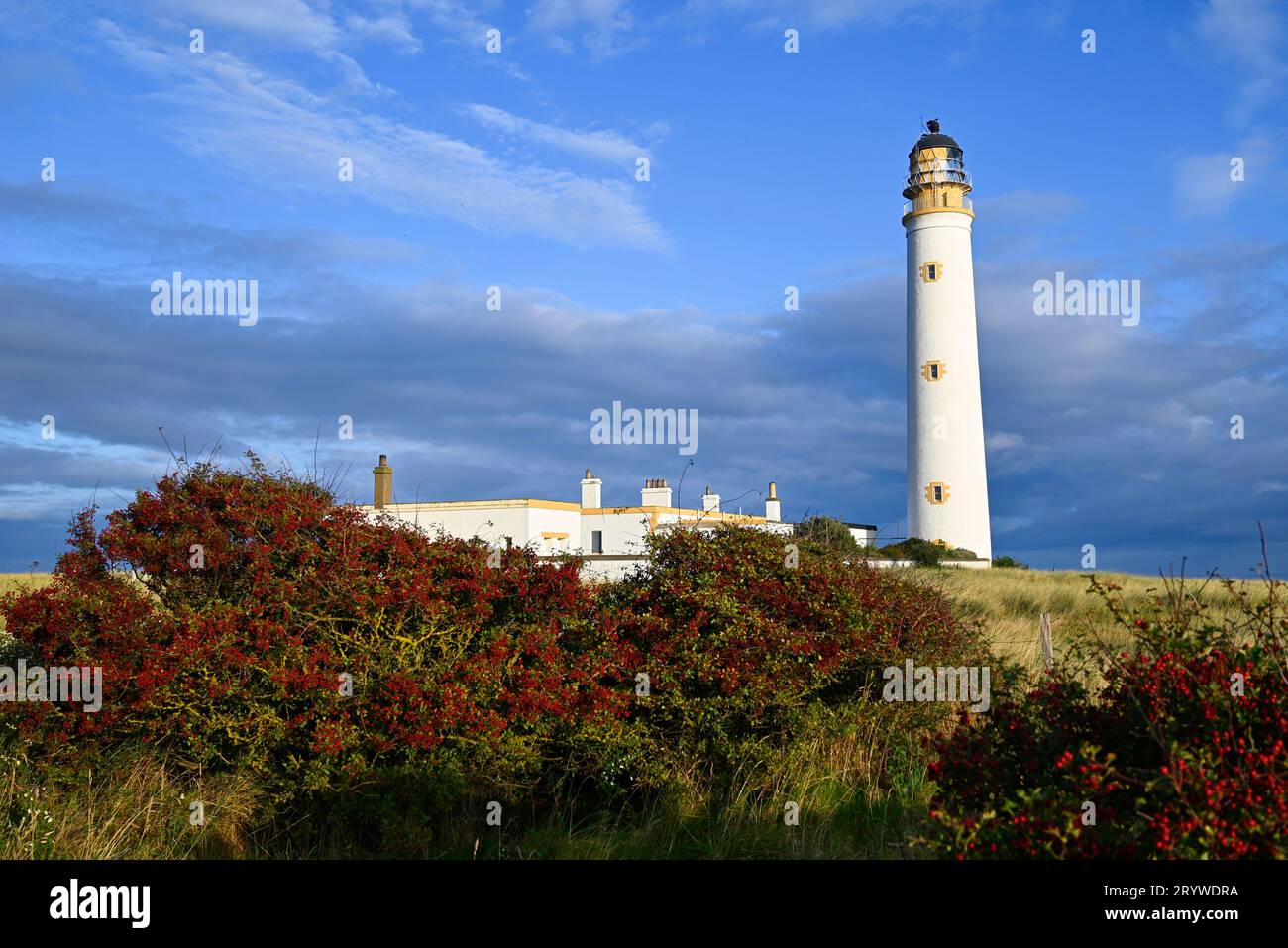 Barns Ness Lighthouse east Lothian Stock Photo - Alamy