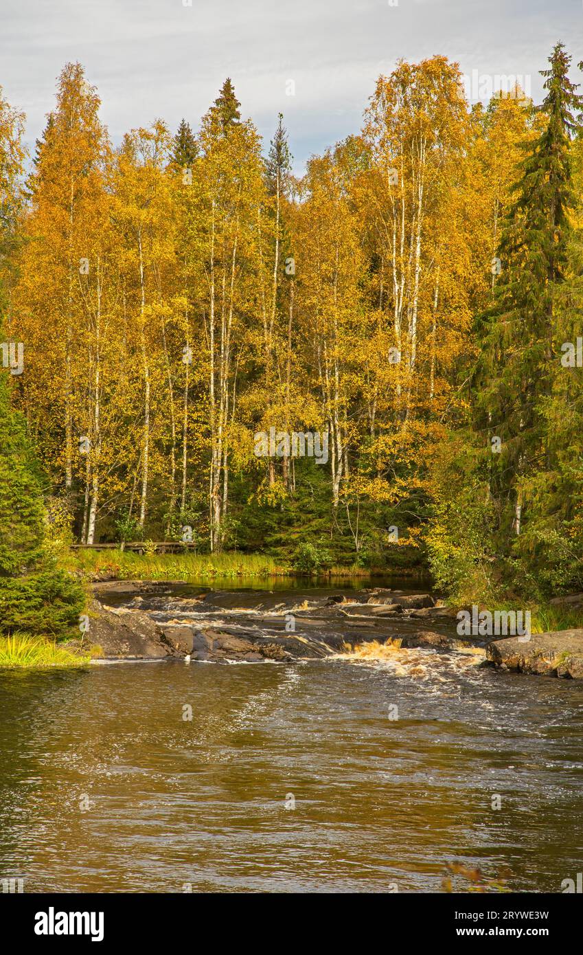 Ruskeal waterfalls at Tohmajoki river near Ruskeala village. Sortavala ...