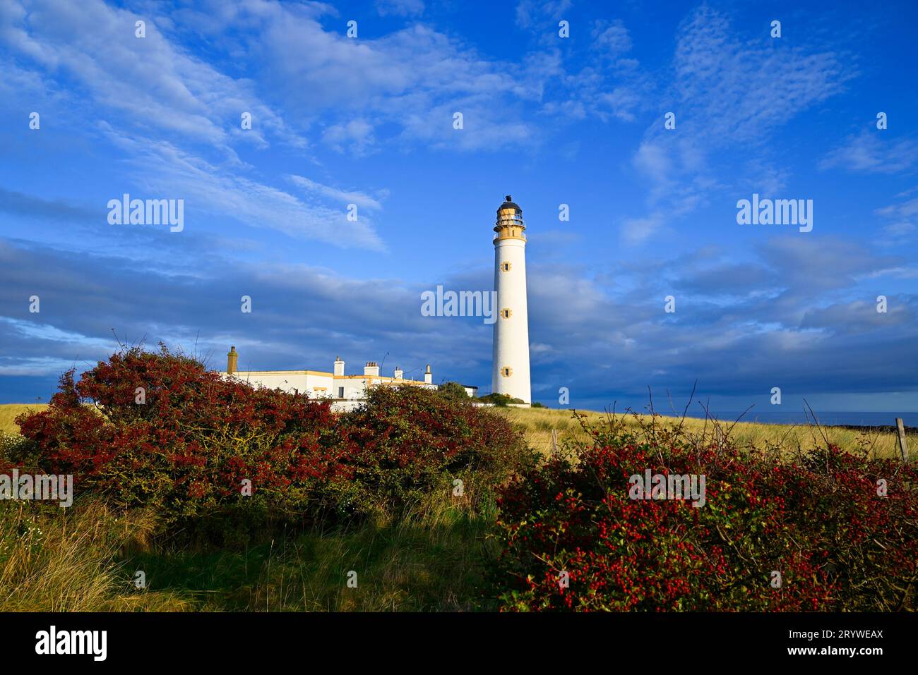Barns Ness Lighthouse east Lothian Stock Photo - Alamy