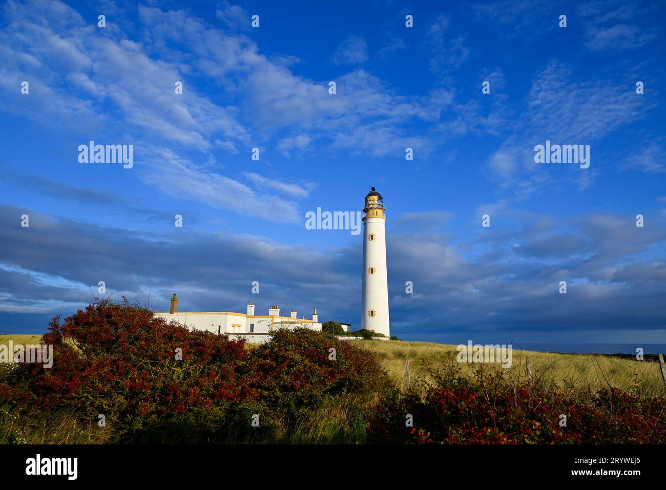 Barns Ness Lighthouse east Lothian Stock Photo - Alamy