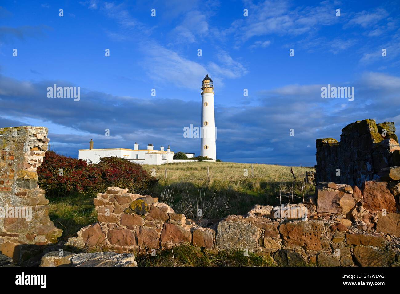 Barns Ness Lighthouse east Lothian Stock Photo - Alamy