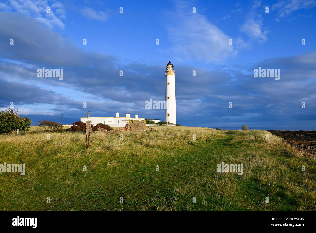 Barns Ness Lighthouse east Lothian Stock Photo - Alamy