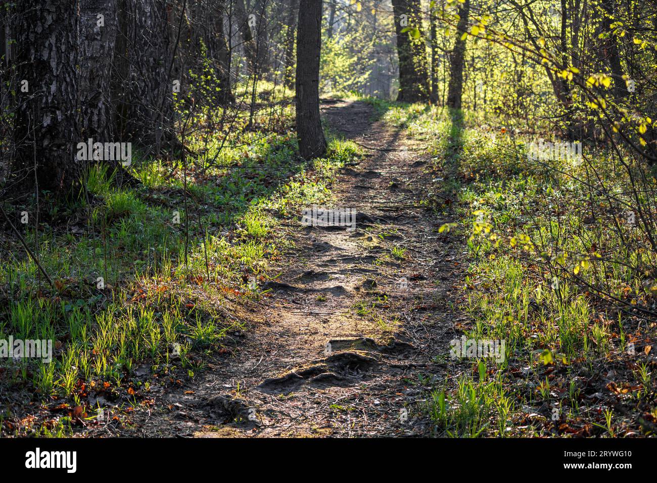 Trodden road hi-res stock photography and images - Alamy