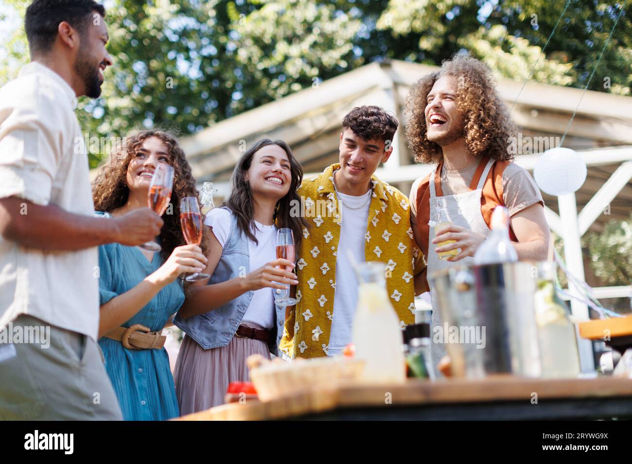 Summer bbq diverse hi-res stock photography and images - Alamy
