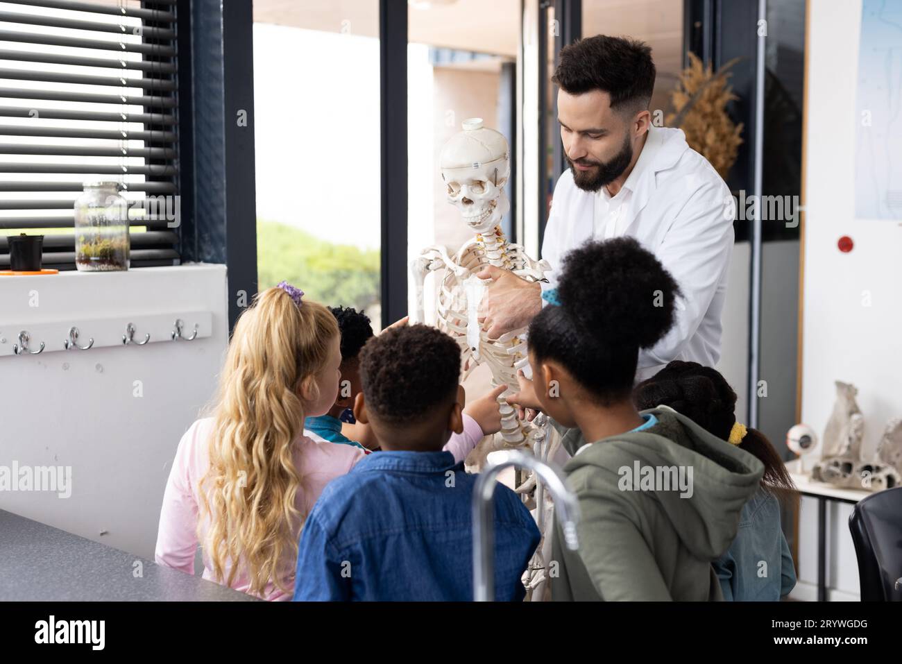 Diverse male teacher and elementary schoolchildren studying skeleton in ...