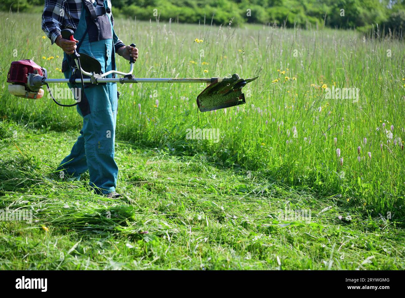 A modern way of mowing the grass in the meadow with a motor mower Stock ...