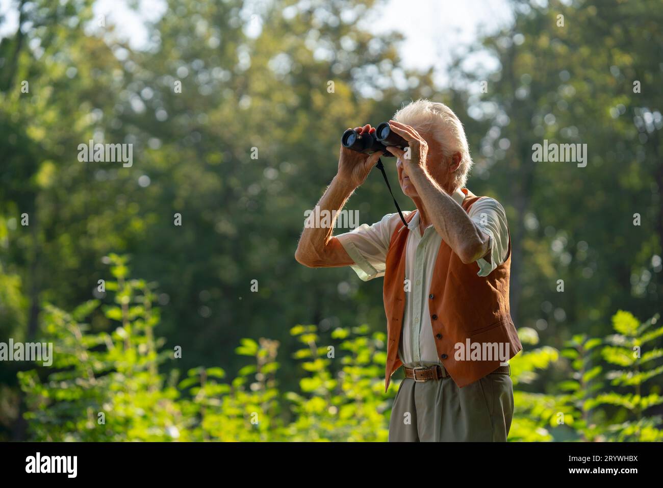 Senior man spending free time outdoors in nature, watching forest ...