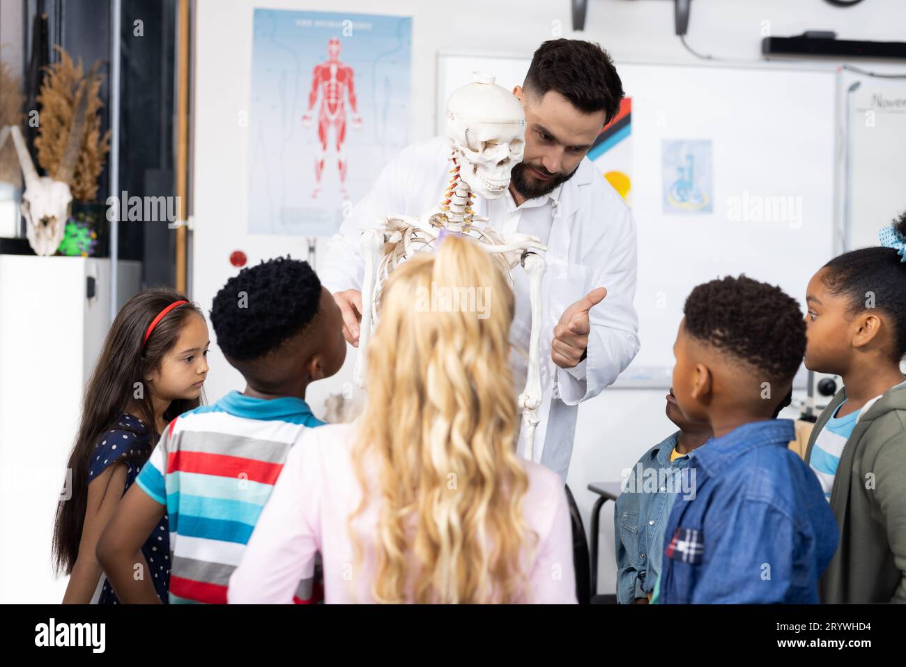 Child adult skeleton anatomy hi-res stock photography and images - Alamy