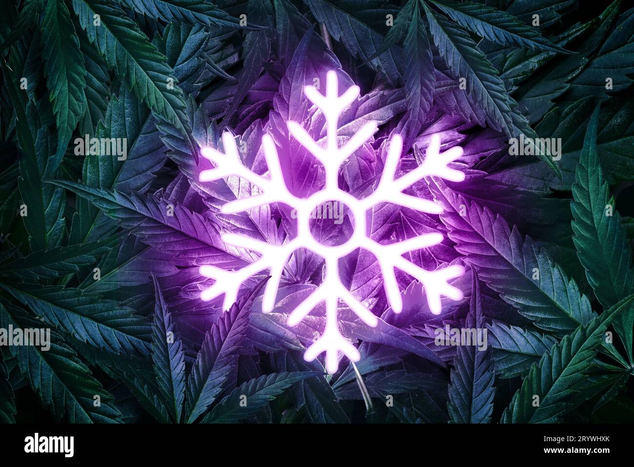 Holiday Poster with neon snowflake on background with cannabis leaves ...