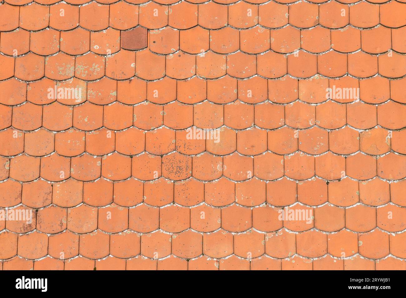 detail of red beavertail shingles at the roof of an old house as ...