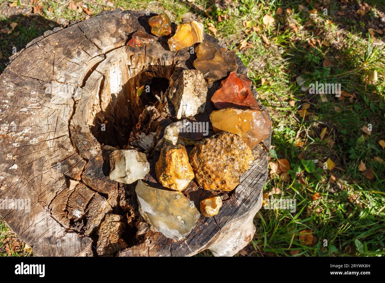 Flint stones found in nature lying on a stump, rockhounding Stock Photo ...