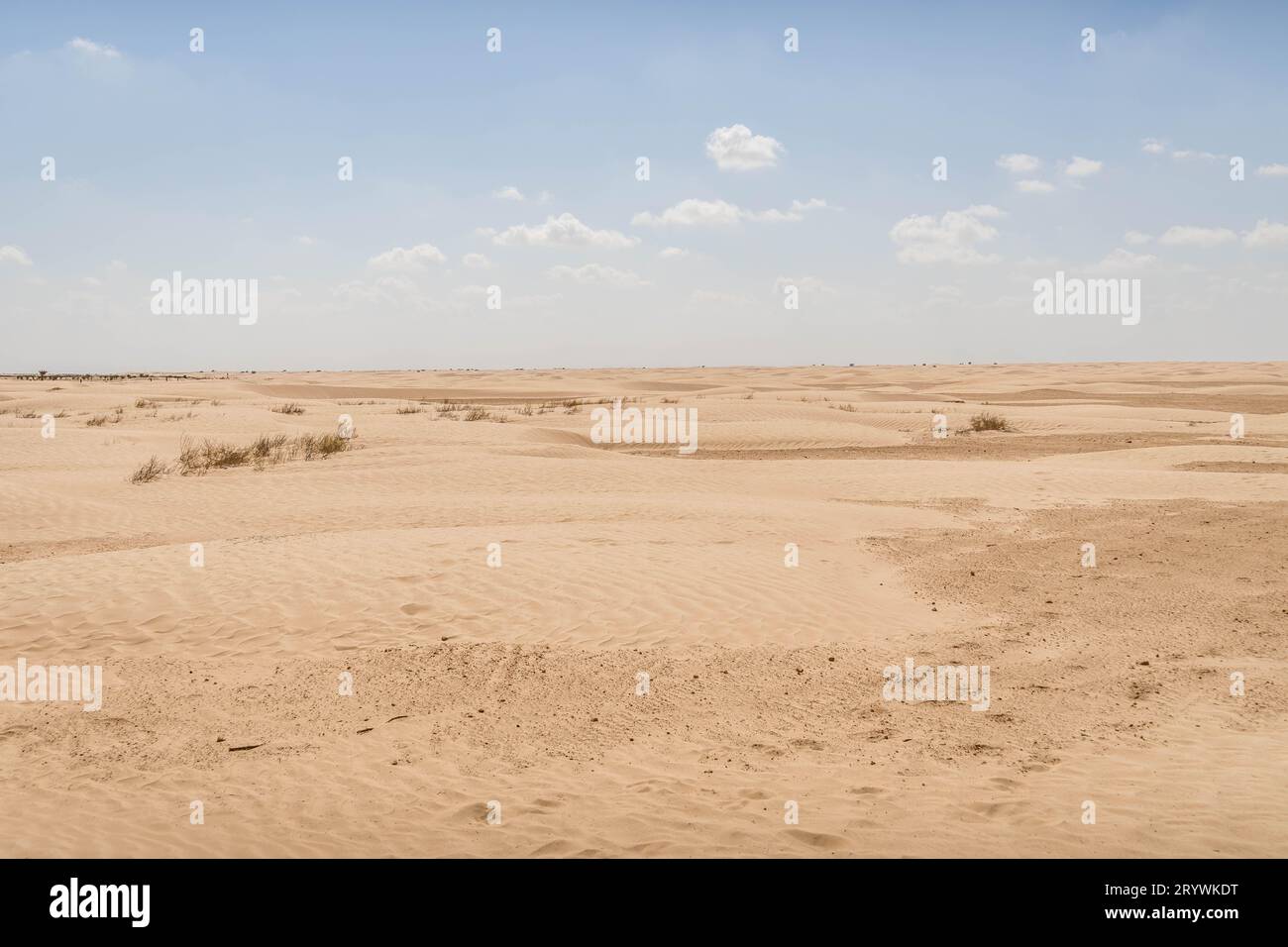 The sandy landscape of Sahara desert during the hot summer day in ...