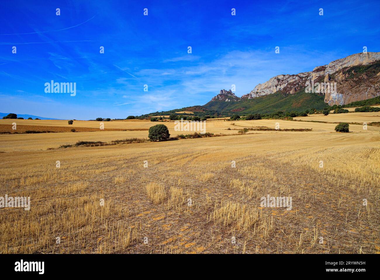 Tolosa spain road hi-res stock photography and images - Alamy