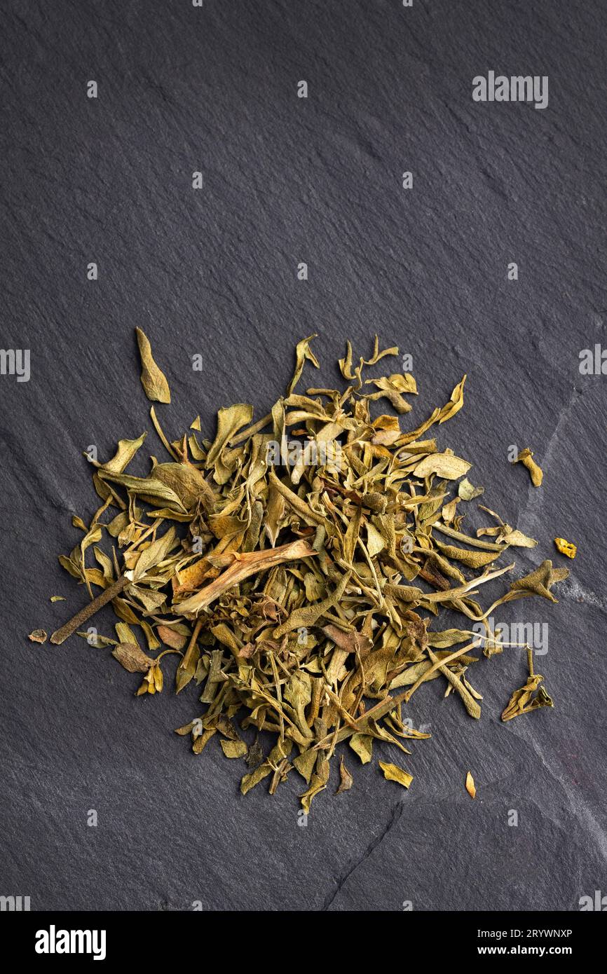 Dried leaves of the rue plant - Ruta graveolens Stock Photo - Alamy