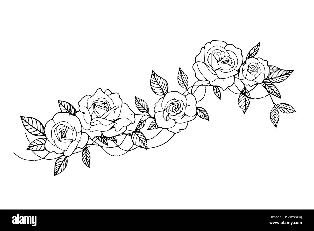 Roses border. Vintage simple line art. Hand drawn ink sketch. Engraving ...