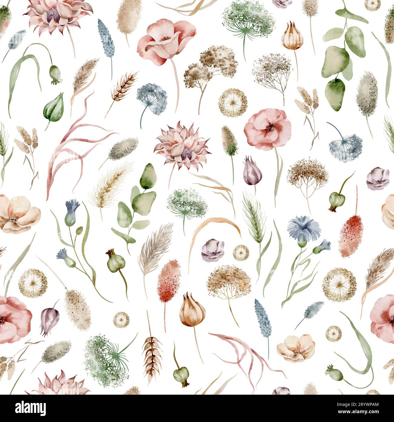 Wildflower background hi-res stock photography and images - Alamy