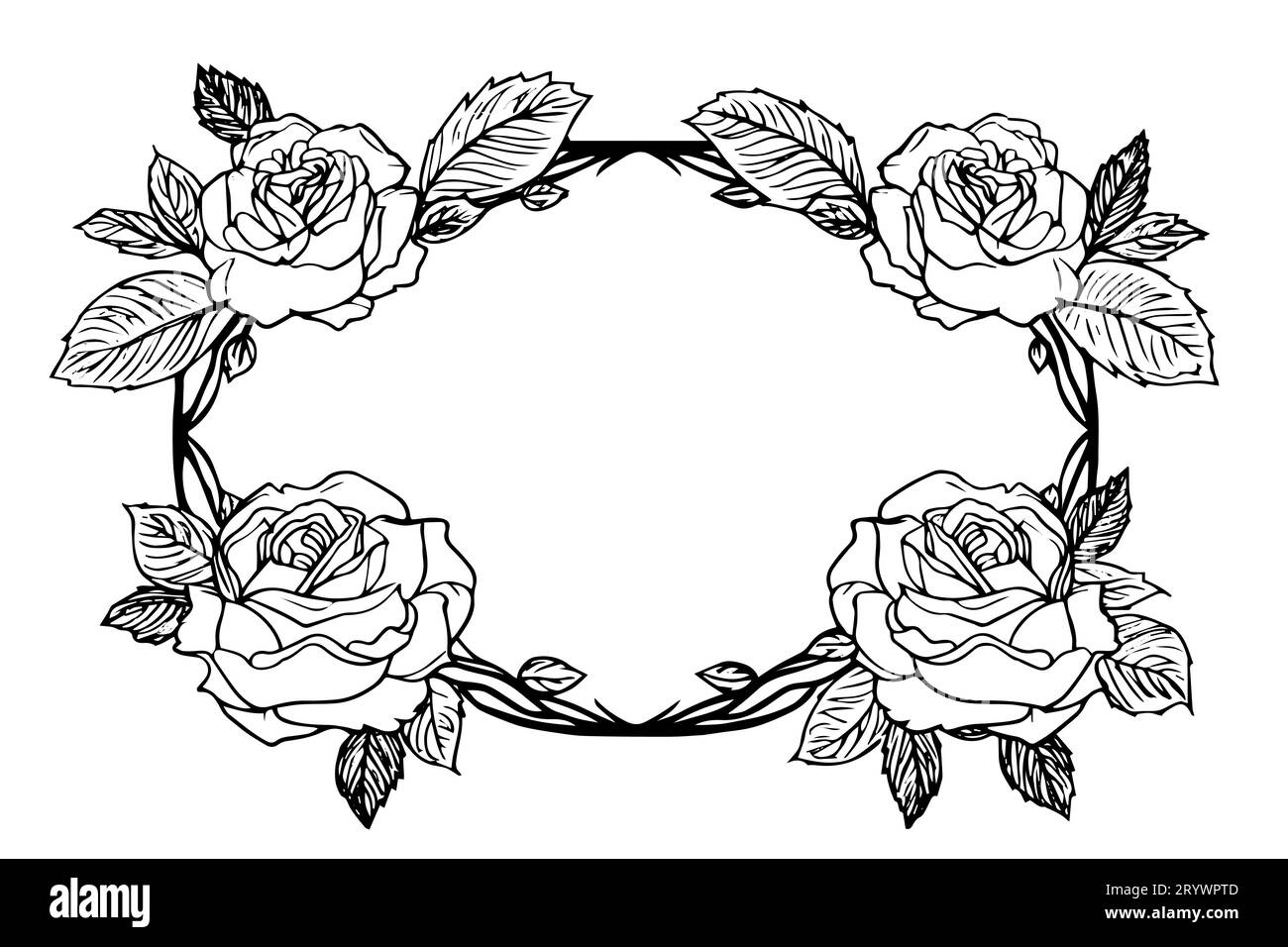 Roses frame. Vintage simple line art. Hand drawn ink sketch. Engraving ...