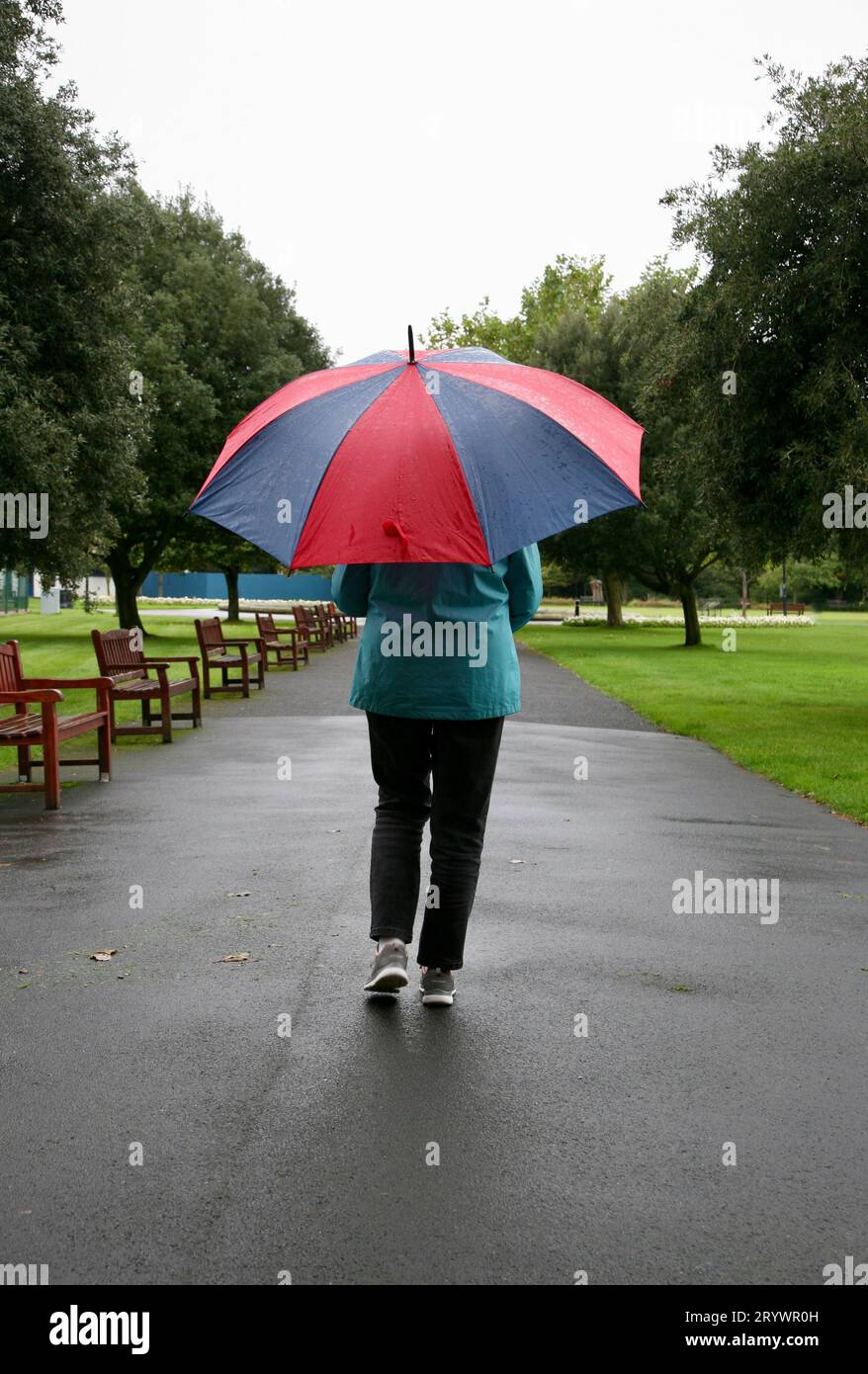 A lady strolling in the park, during a sudden rain shower Stock Photo ...