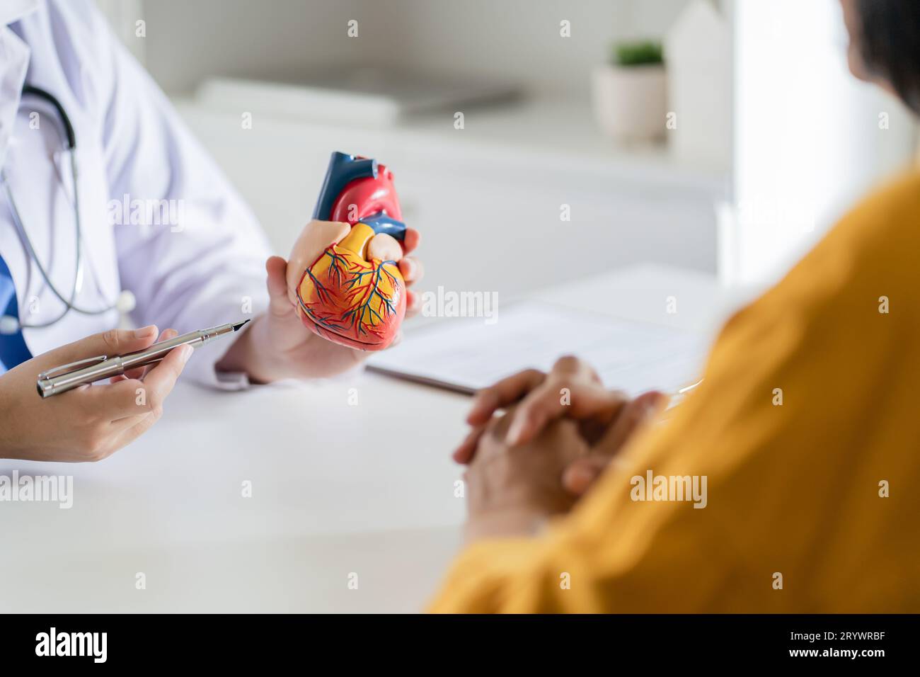 Cardiology Consultation treatment of heart disease. Doctor cardiologist ...