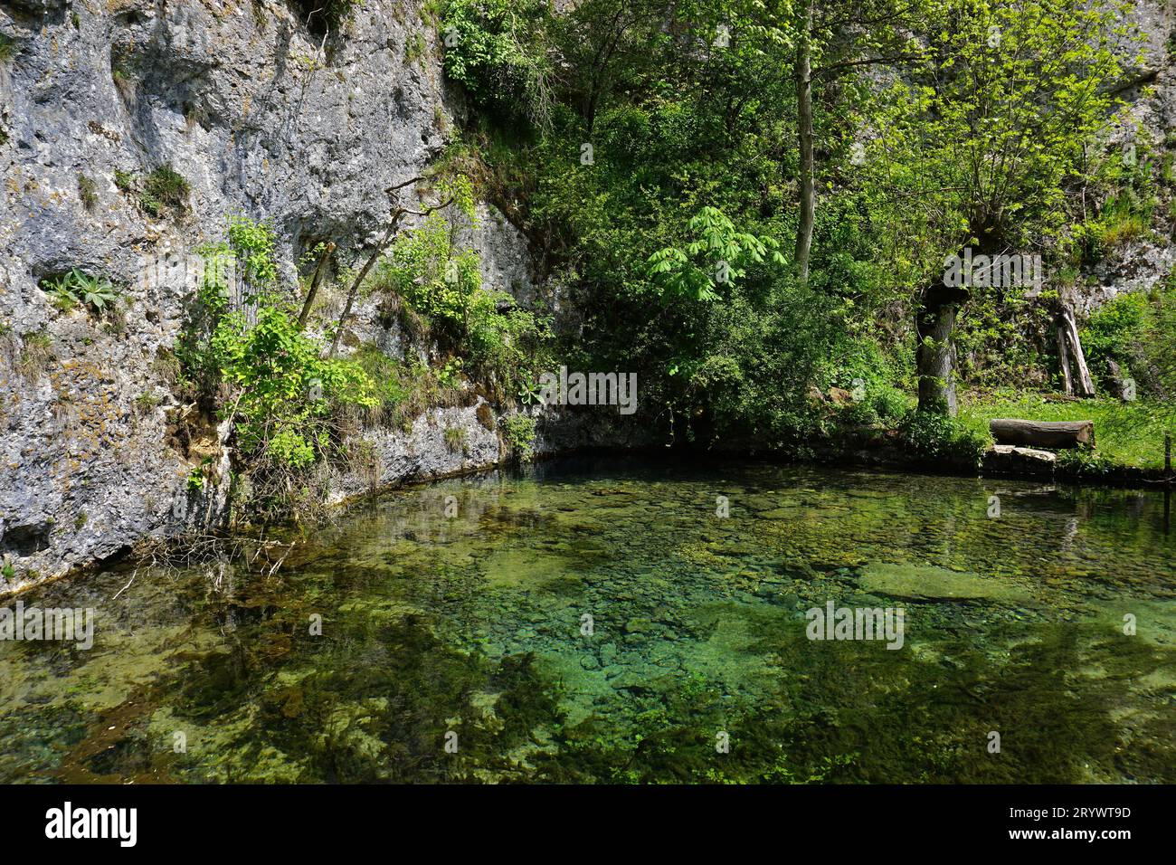 Loud source; Kleine Lauter near Blaustein-Herrlingen, Swabian Jura ...