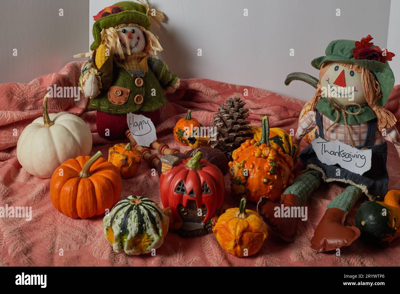 Happy Thanksgiving, feels good to be home, pumpkins and scarecrows, Mr ...