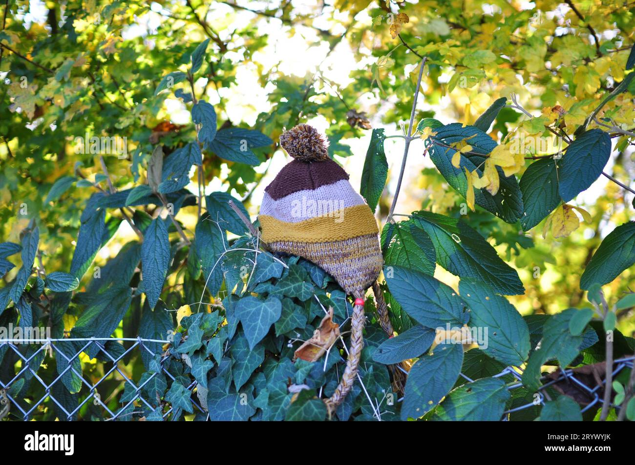 Knitted hat with pom pom on a wire mesh fence Stock Photo - Alamy