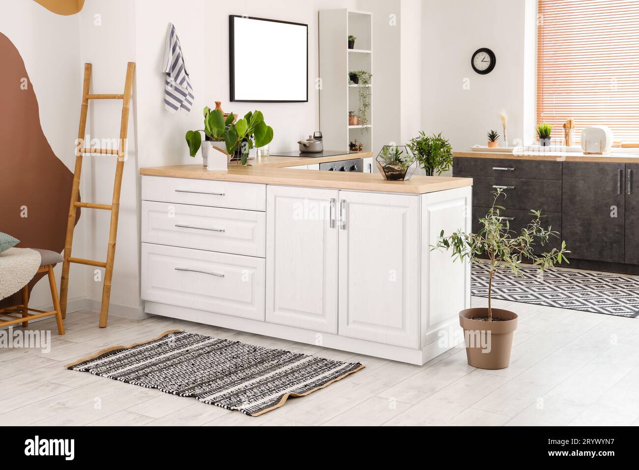Interior of light kitchen with white counters and striped carpet Stock ...