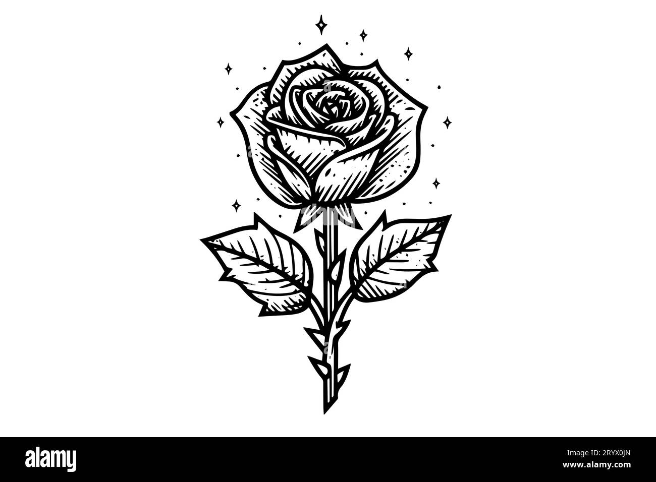Elegant Rose. Vintage simple line art. Hand drawn ink sketch. Engraving ...