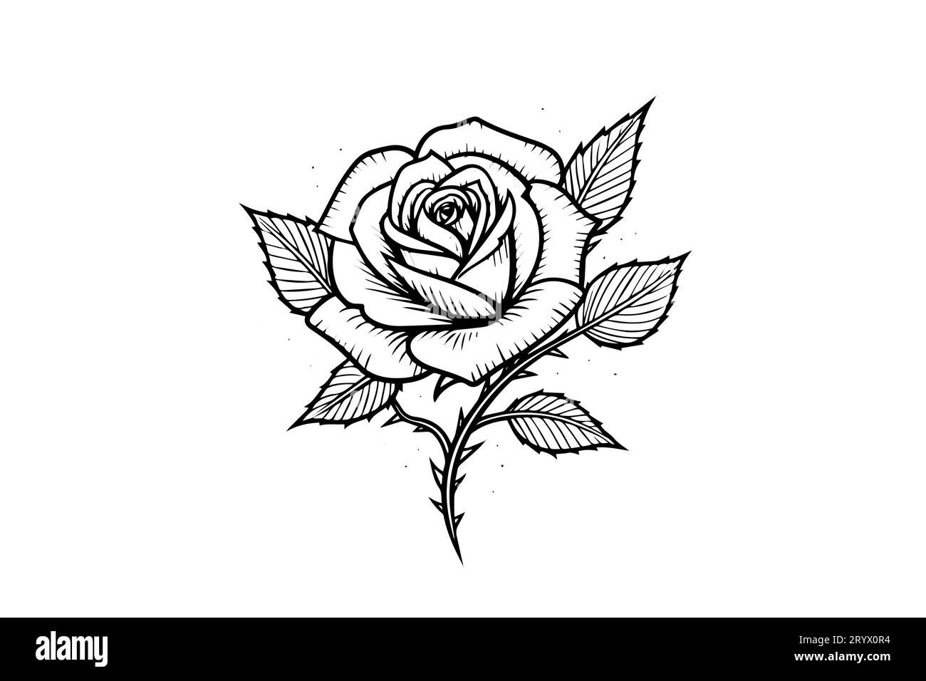 Elegant Rose. Vintage simple line art. Hand drawn ink sketch. Engraving ...