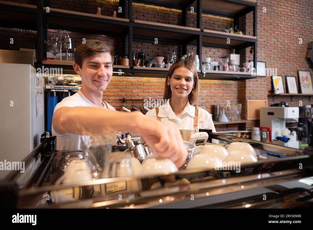 Barista working in cafe. Portrait of young male barista standing behind ...