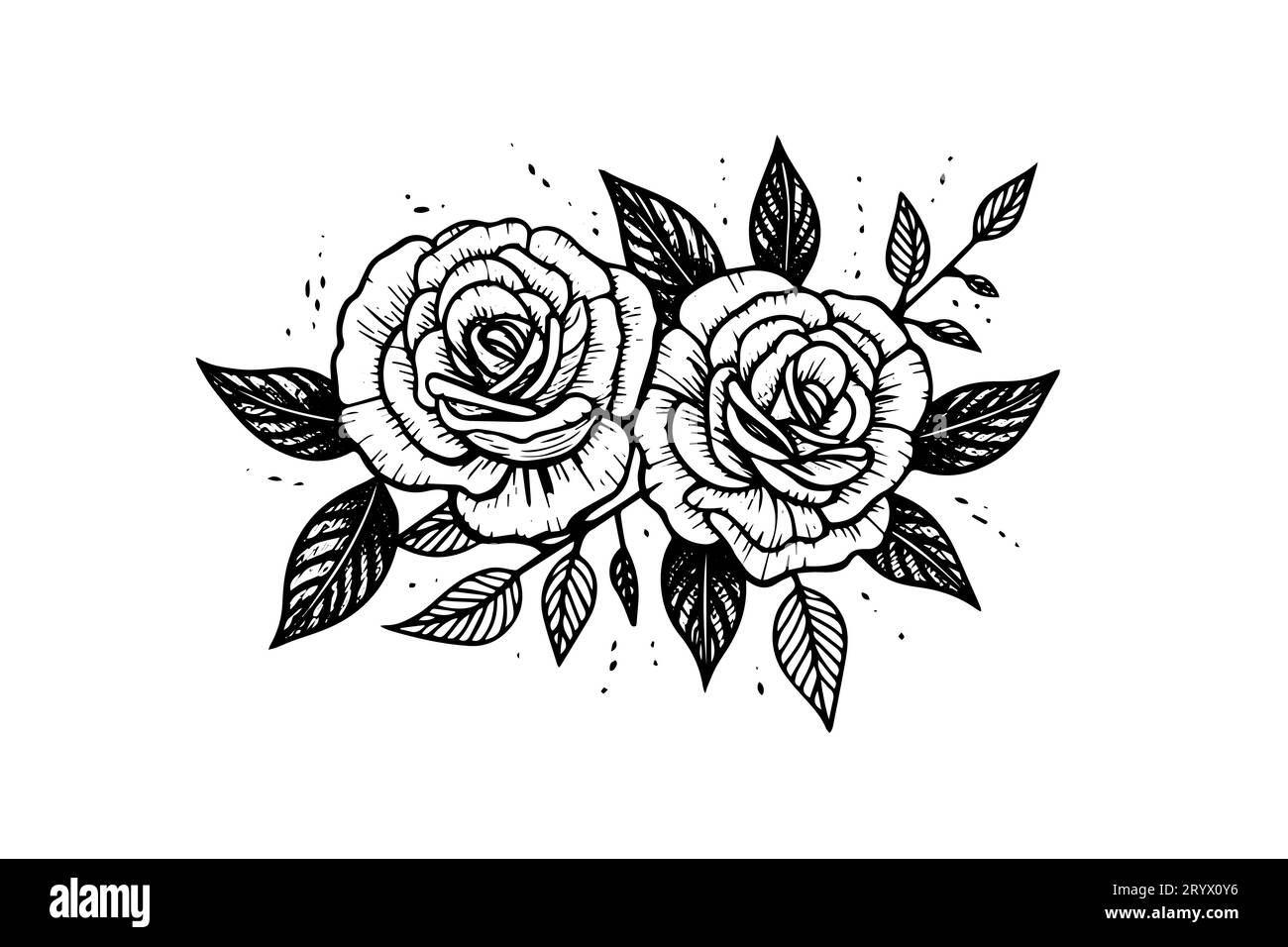 Elegant Rose. Vintage simple line art. Hand drawn ink sketch. Engraving ...