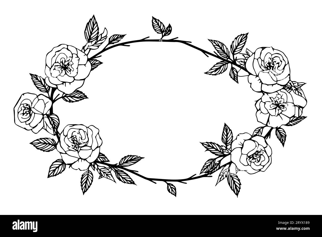 Roses frame. Vintage simple line art. Hand drawn ink sketch. Engraving ...