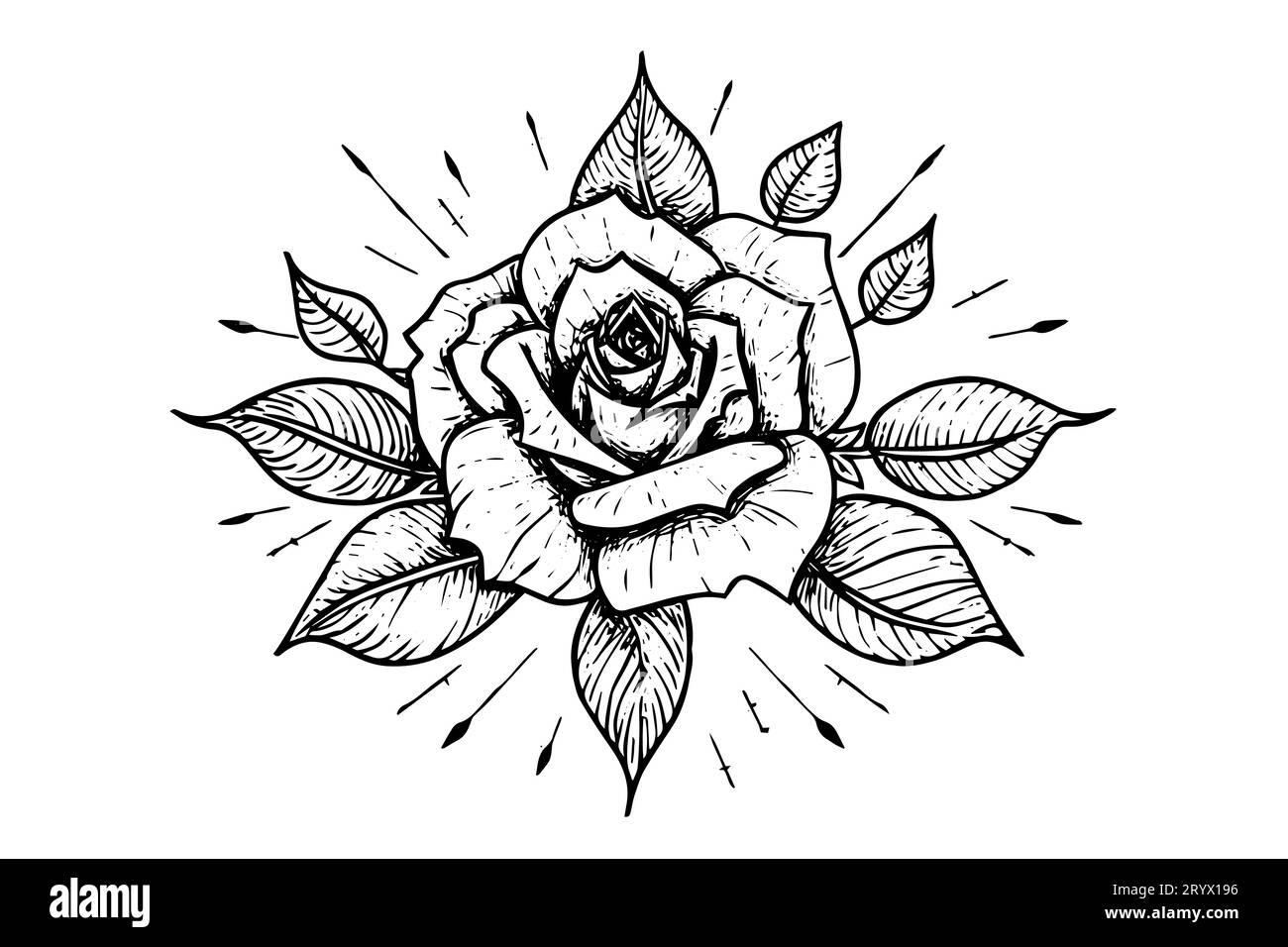 Elegant Rose. Vintage simple line art. Hand drawn ink sketch. Engraving ...