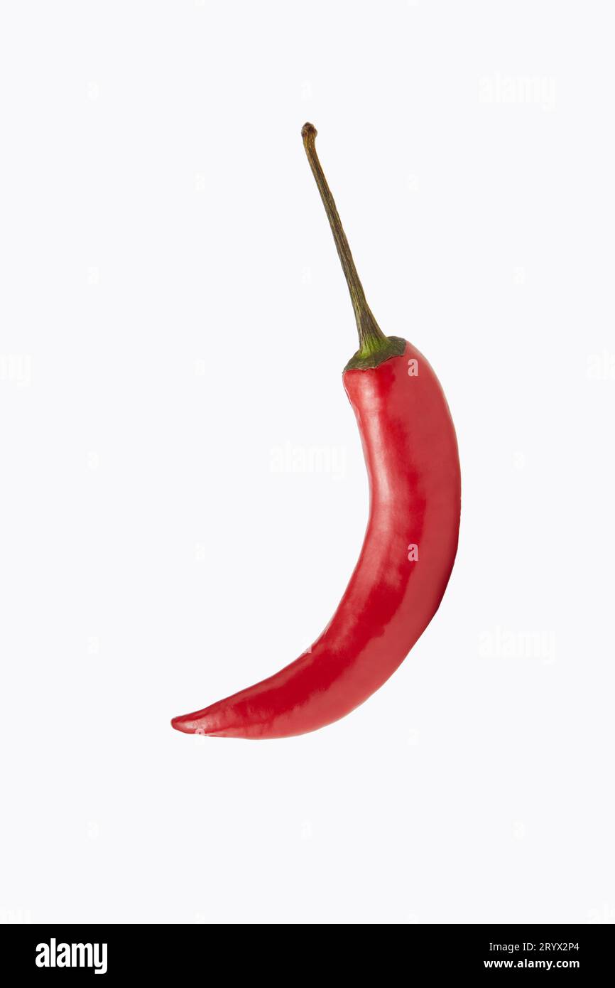 Red crescent-shaped chili pepper on white background Stock Photo - Alamy