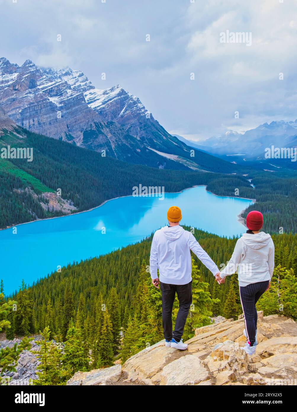 Lake Peyto in Banff National Park, Canada. Mountain Lake as a fox head ...