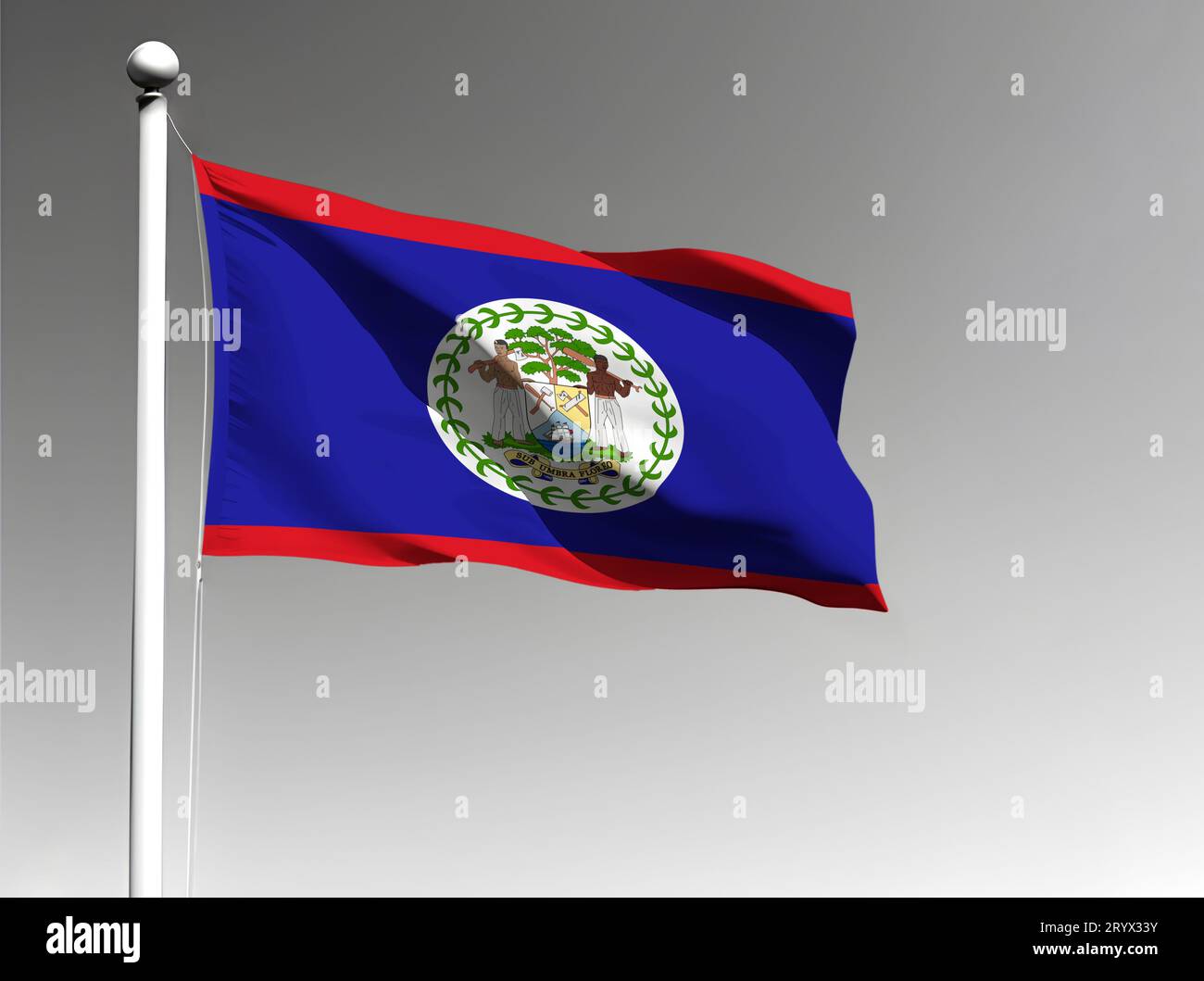 Belize national flag isolated waving on gray background Stock Photo - Alamy