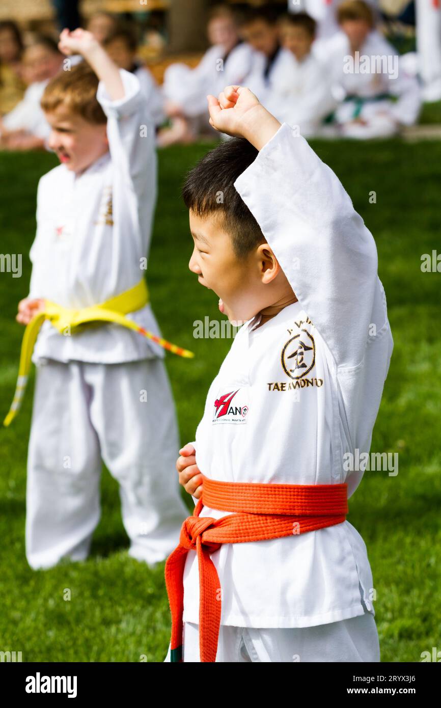 Children tae kwon do hi-res stock photography and images - Alamy