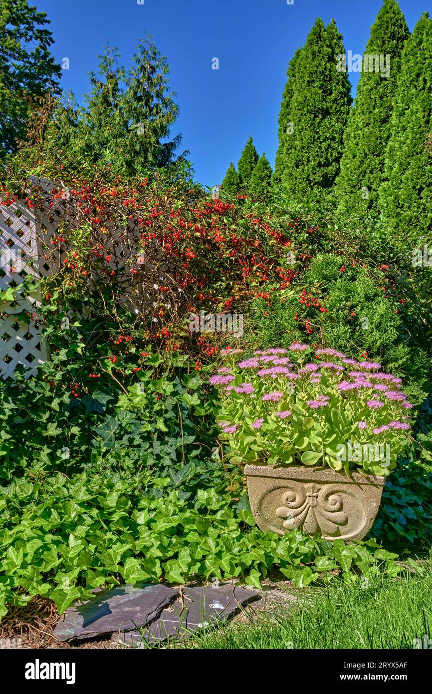 Beautiful garden scene hi-res stock photography and images - Alamy