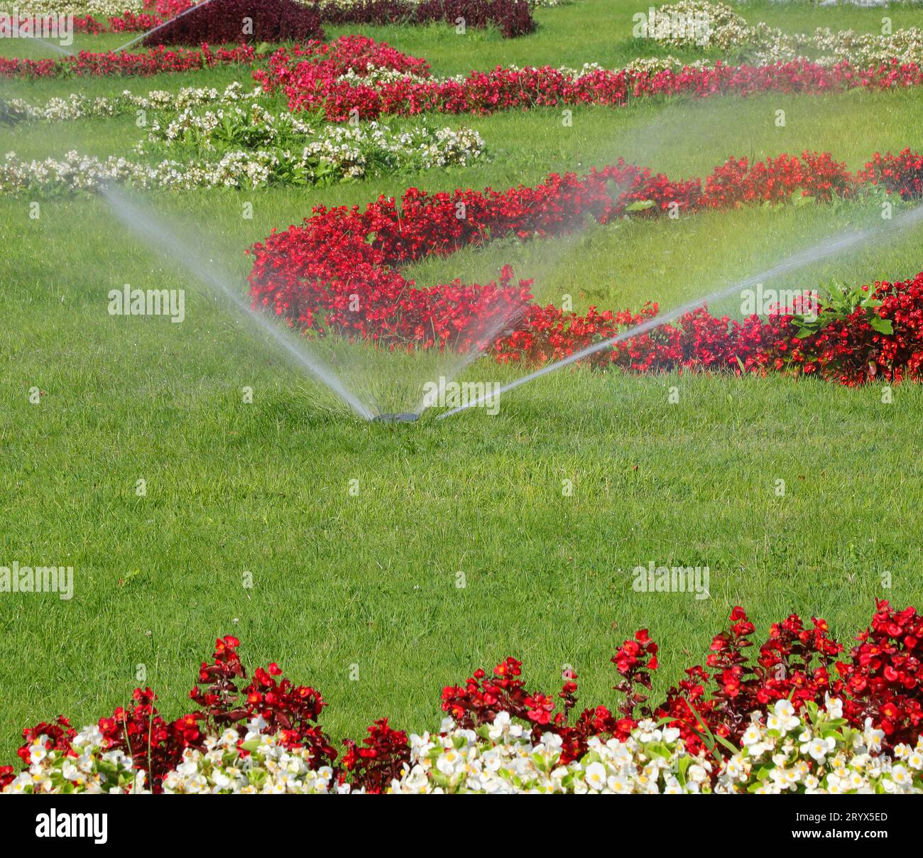 automatic irrigation system for flower gardens well looked after by the ...