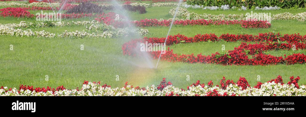 automatic irrigation system for flower gardens well looked after by the ...