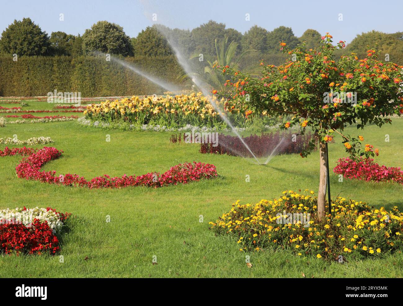 automatic watering system for flowering trees and flowers in flowerbeds ...