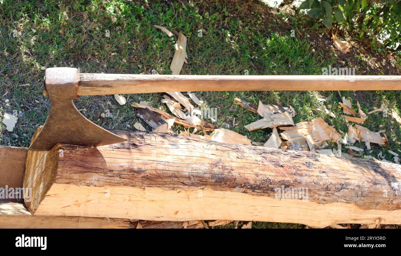 ax used by the woodcutter to cut the trunk of the tree Stock Photo - Alamy