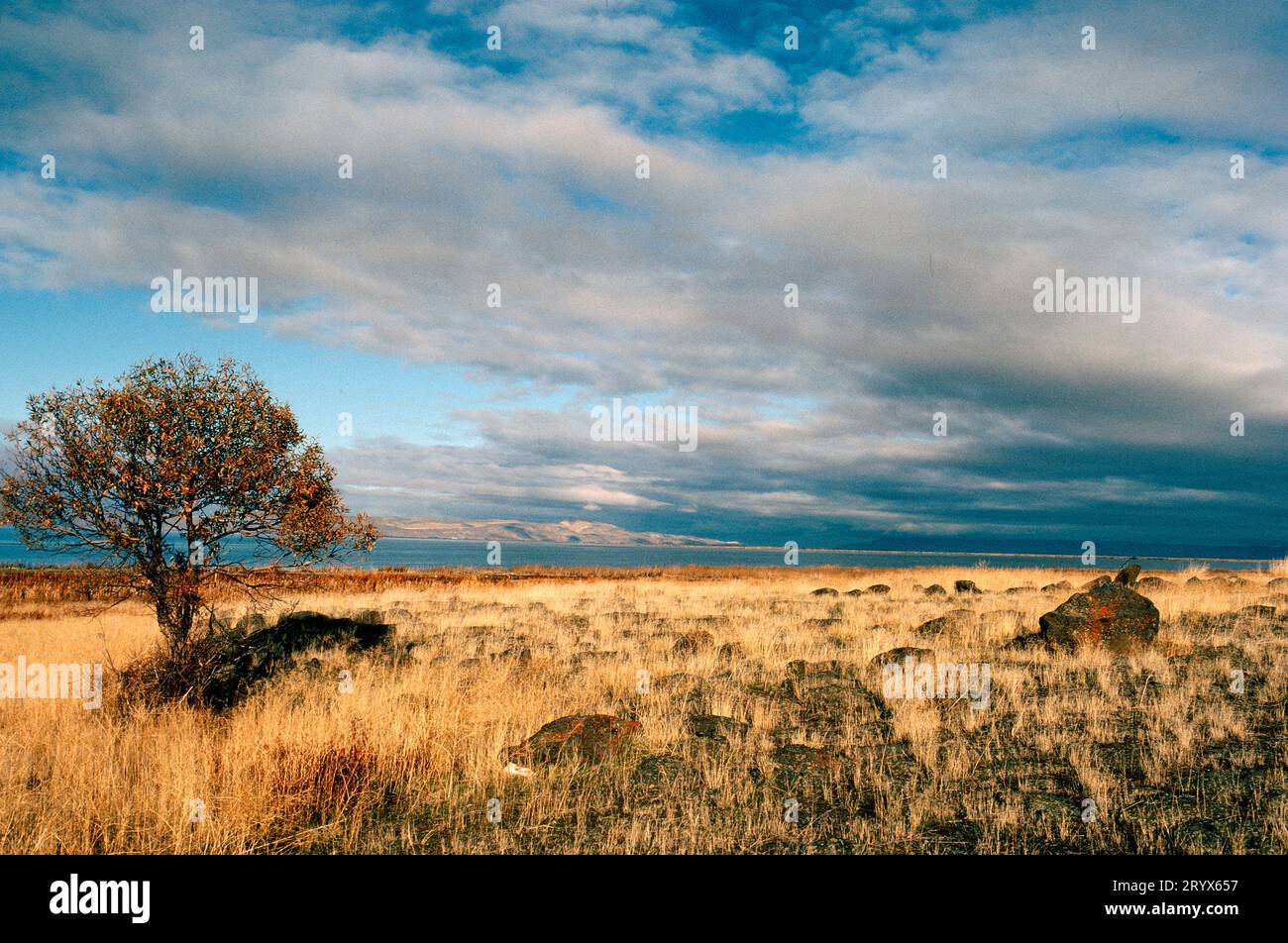 Tule Lake National Wildlife Refuge, Siskiyou and Modoc Counties ...